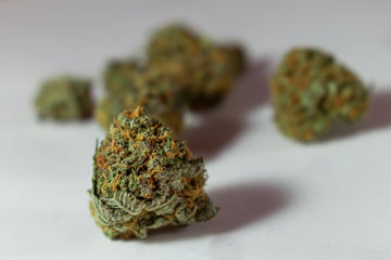 Afghani Strains | Cannabis Strains | JANE Dispensary
